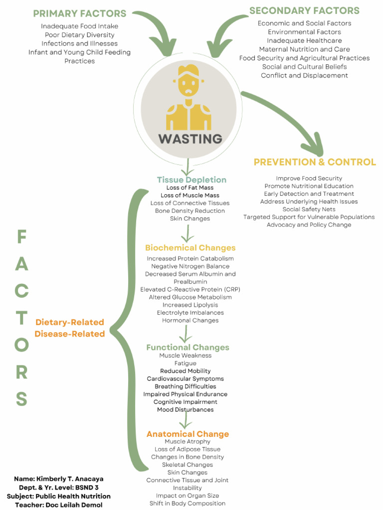 PHN Wasting Concept Map - ANACAYA | PDF