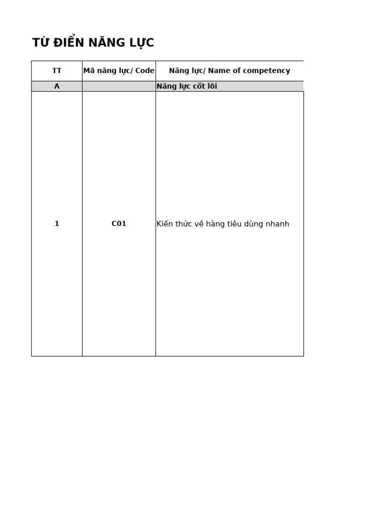 Competency Dictionary | PDF