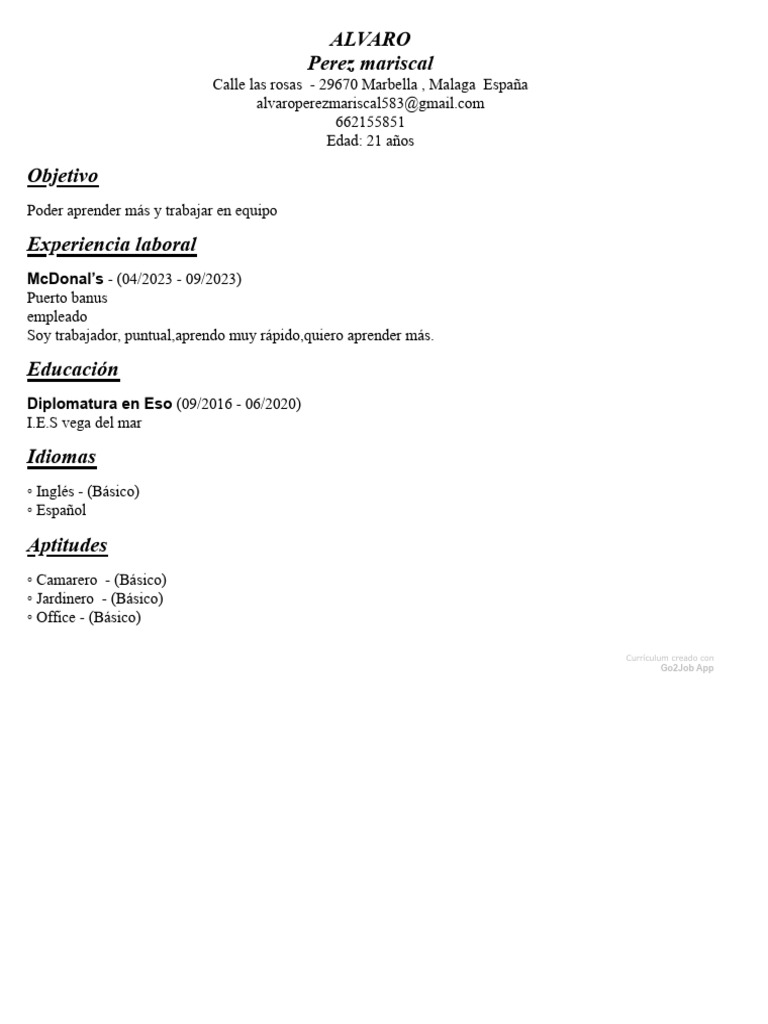 Currículum - Alvaro | PDF