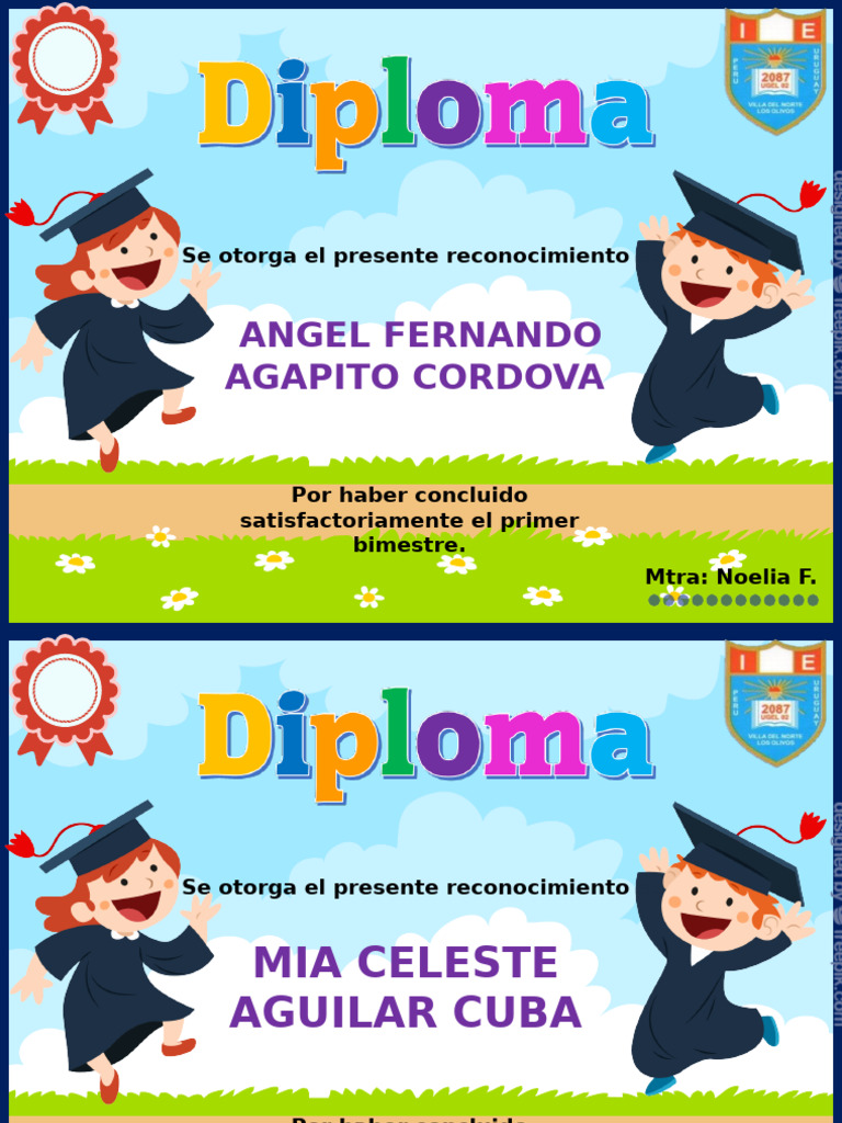 Diploma 2 | PDF