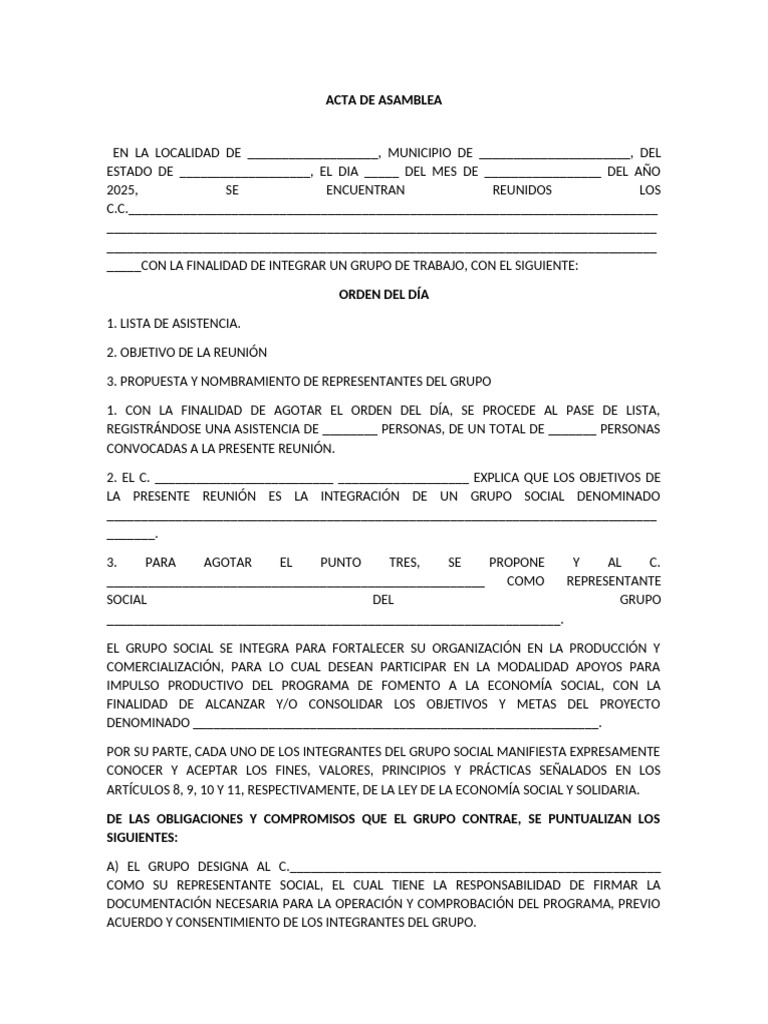 Acta de Asamblea para Grupo Social | PDF