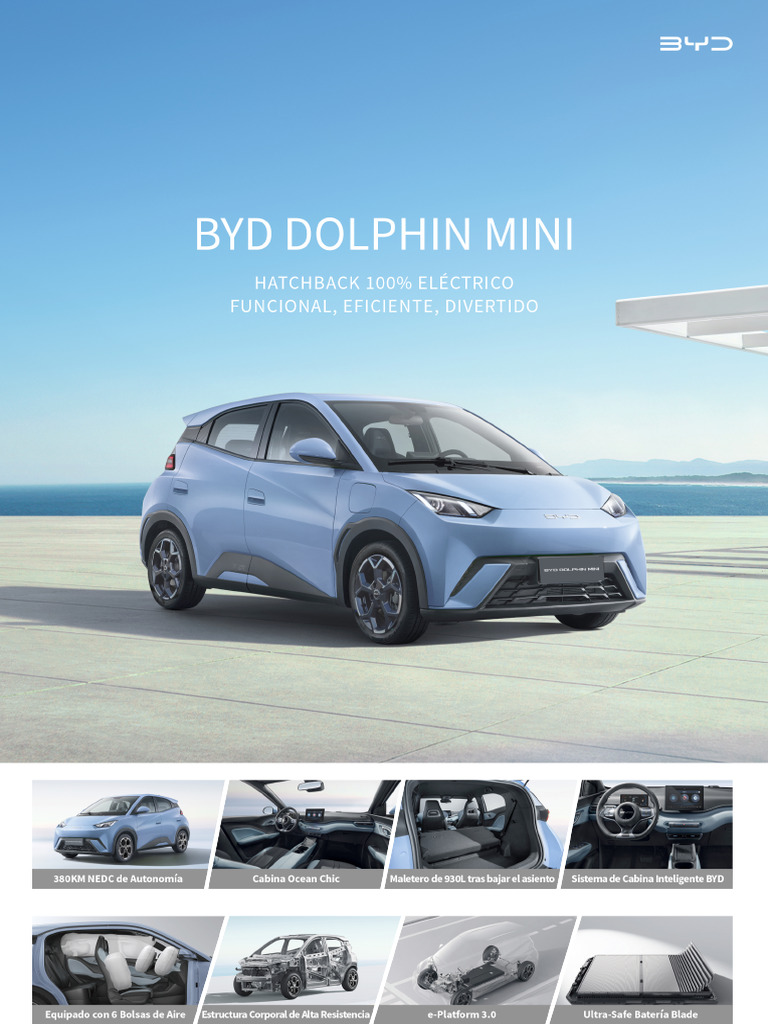 2026 Byd Dolphin Mini Flyer-5seats-Es (1) | PDF