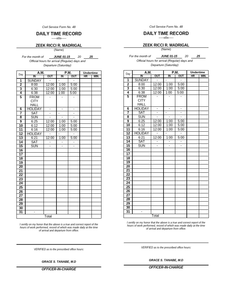 DTR Format Blank | PDF