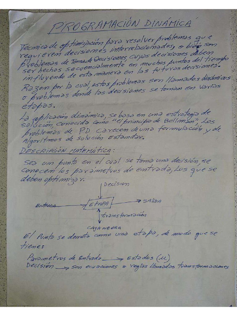 Programacion Dinamica | PDF