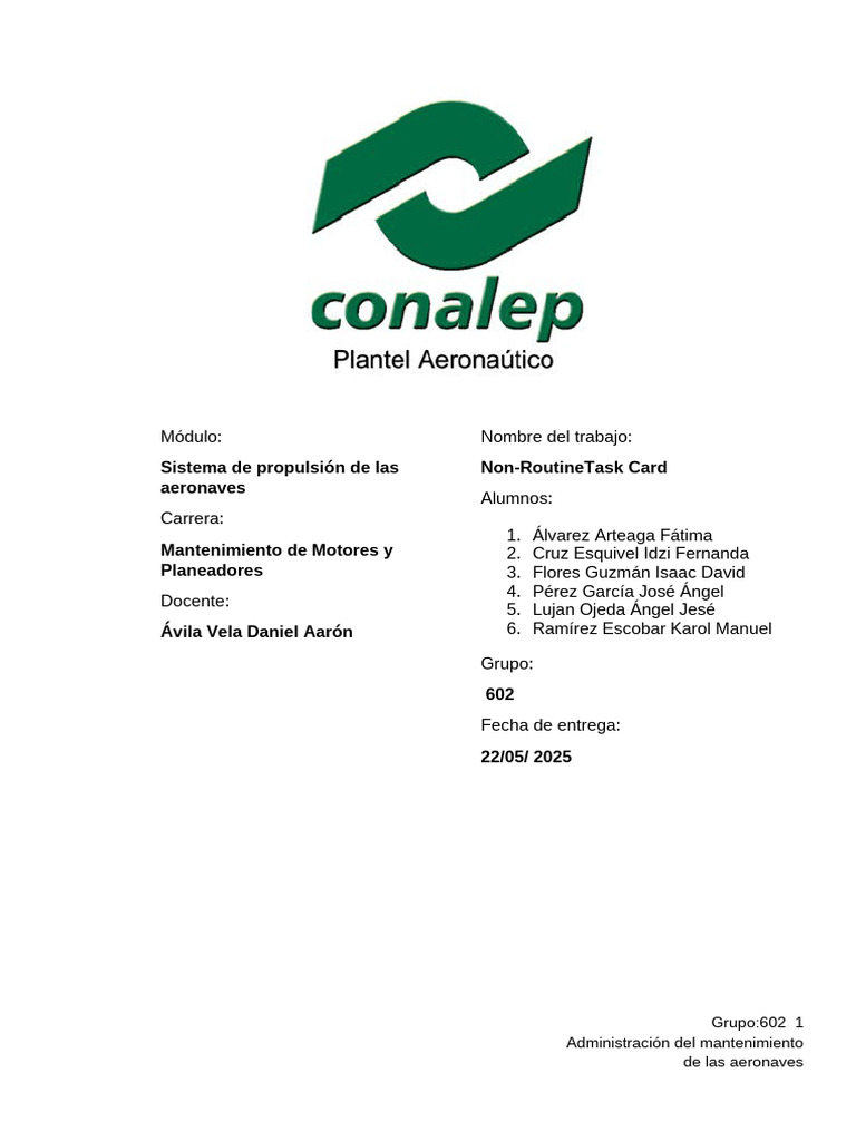 Formato de Llenado de Documento Tarjeta No Rutinaria | PDF | Relámpago