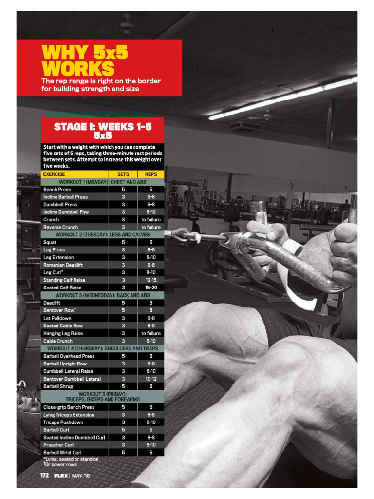 10 Weeks Size and Strength | PDF