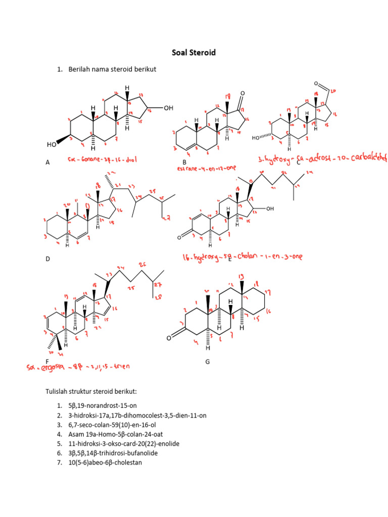 Latihan Soal Steroid | PDF