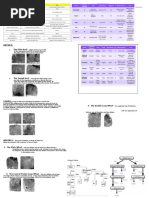 Science Olympiad Remote Sensing Quiz | PDF | Light | Electromagnetic ...