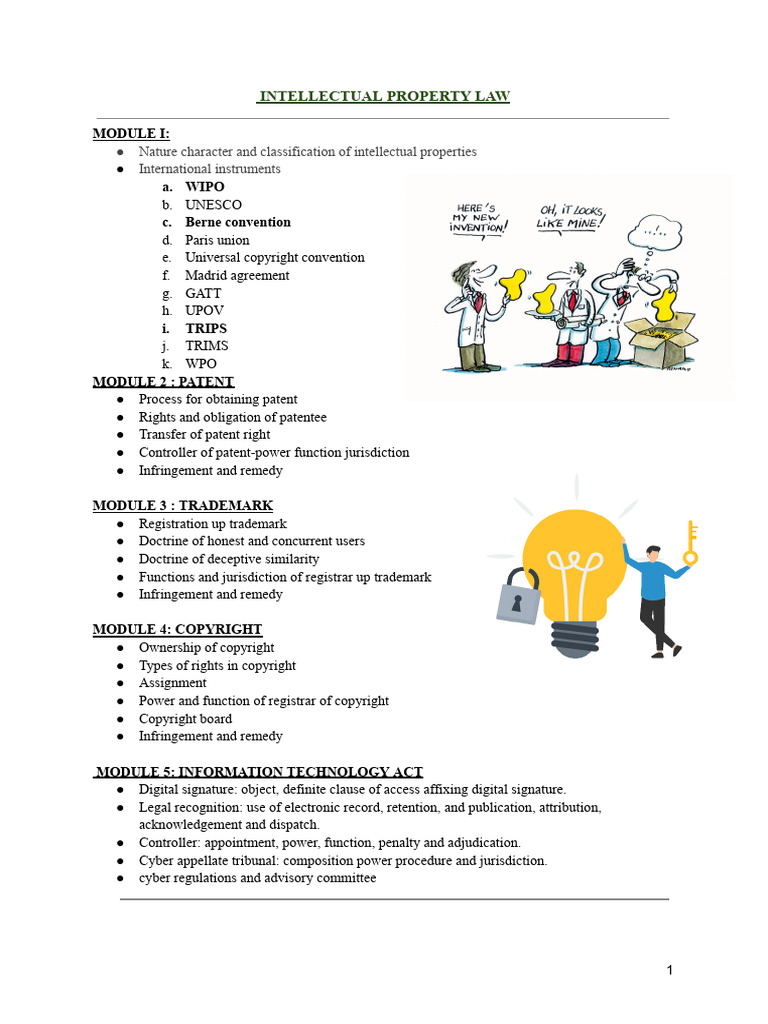 Intellectual Property Right | PDF | World Intellectual Property ...