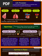 Class 10 Science Notes: Life Processes | PDF | Cellular Respiration ...