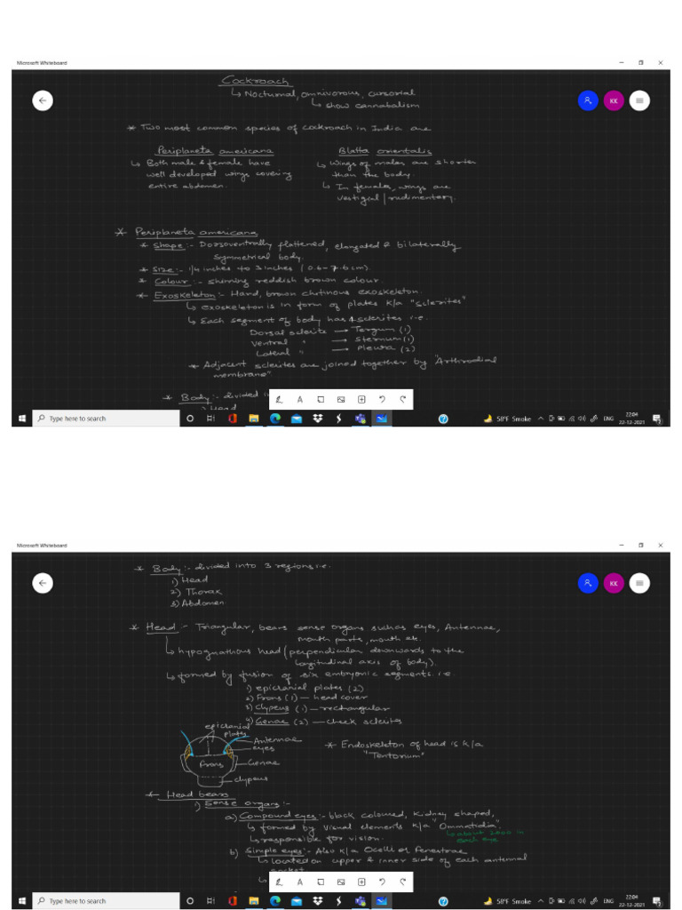 Cockroach Board Notes | PDF