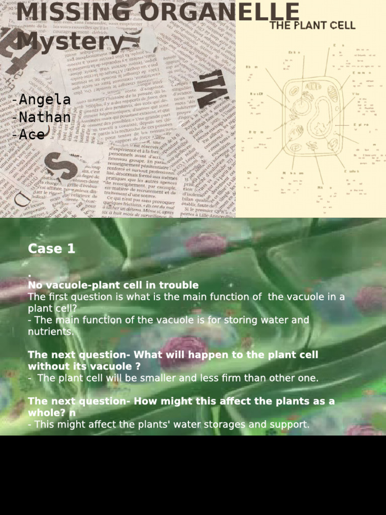 Cells (Group Project) | PDF