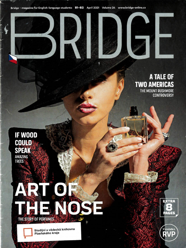 Bridge APR 2021 | PDF
