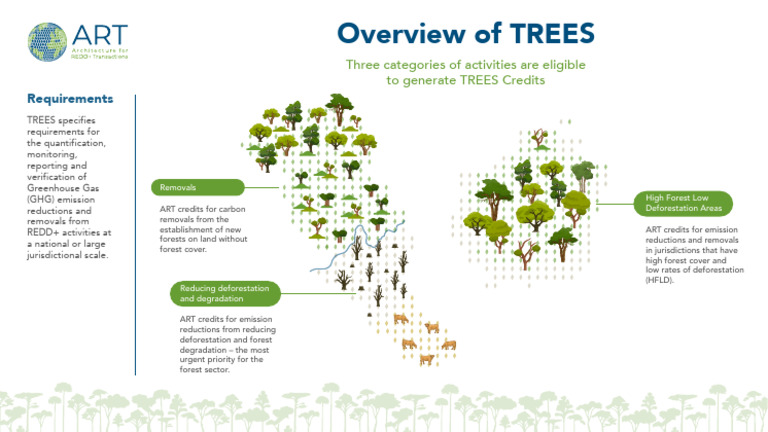 CLI0002 ART TREES INFOGRAPHIC Overview V10-1 | PDF