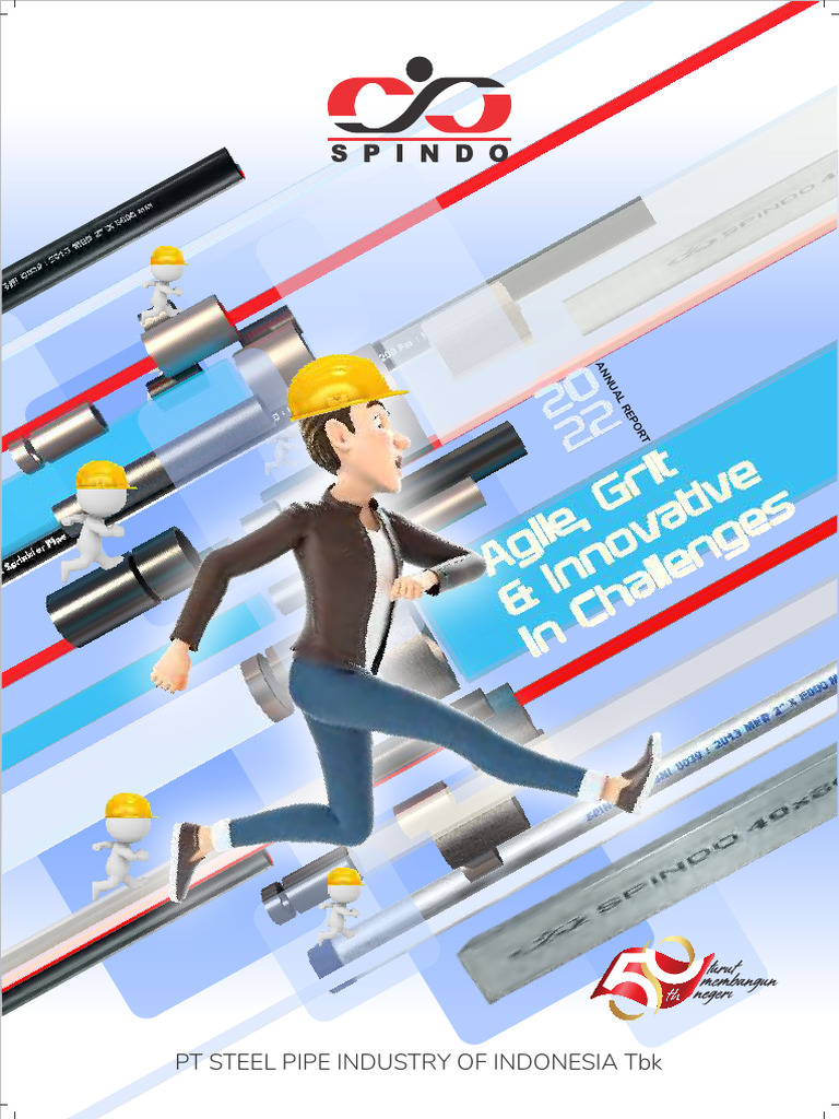 SPINDO 2022 Annual Report | PDF | Balance Sheet | Income