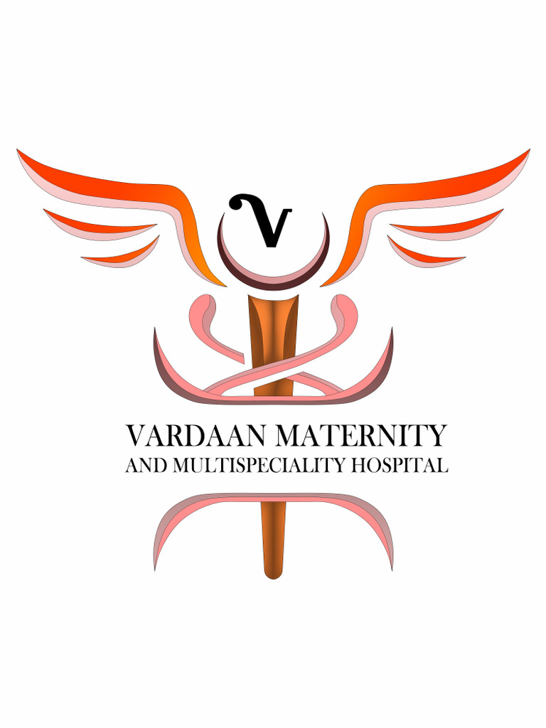 Vardaan Logo Option 01 | PDF