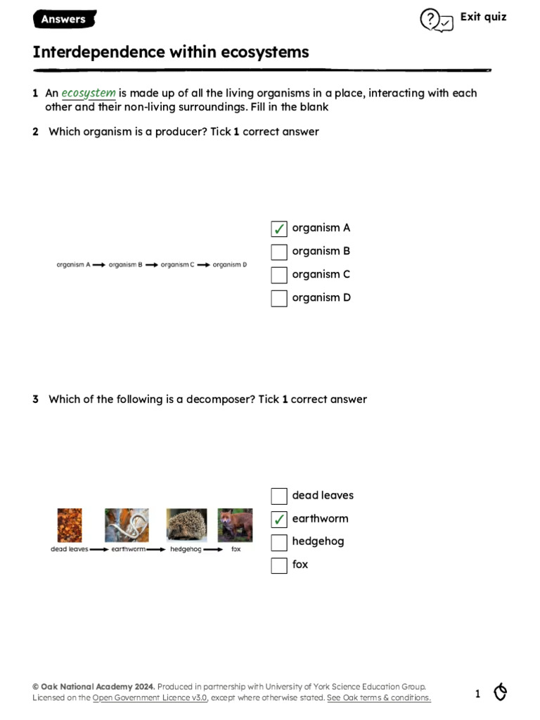 Exit Quiz Answers | PDF