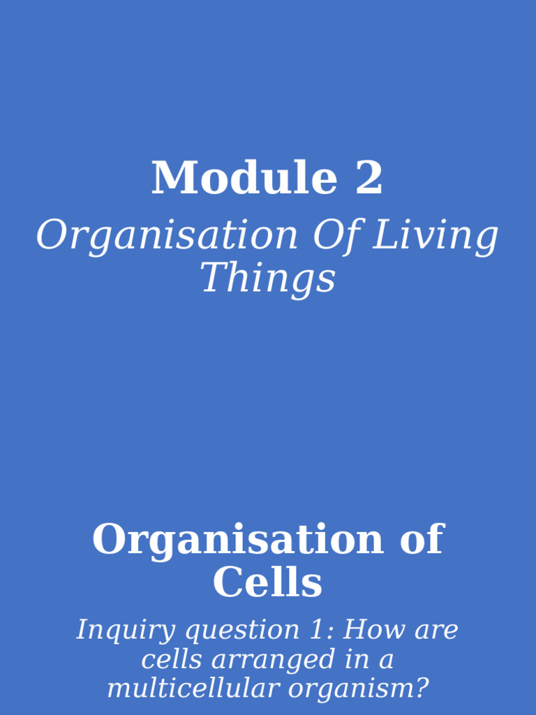 Organisation of Cells in Multicellular Life | PDF | Tissue (Biology ...