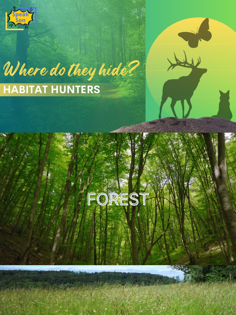 Where Do They Hide Habitat Hunters (Level A2) | PDF | Foods | Habitat