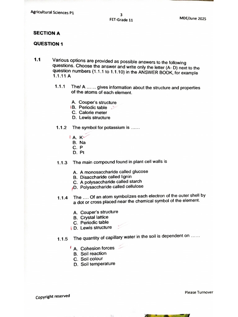 Grade 11 2025 June Exam Question Paper | PDF