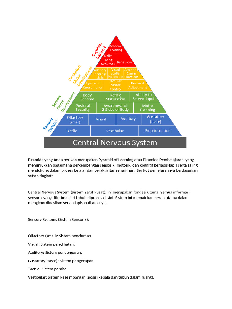 Pyramid of Learning Atau Piramida Pembelajaran | PDF