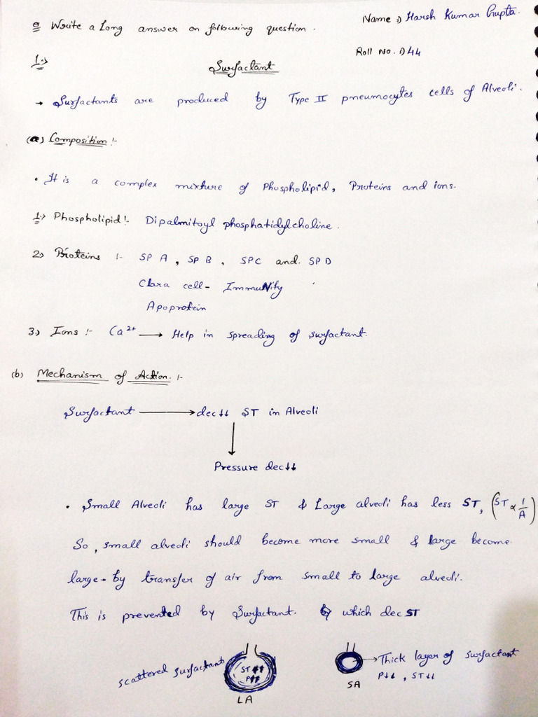 Respiratory System Assignment 4 | PDF