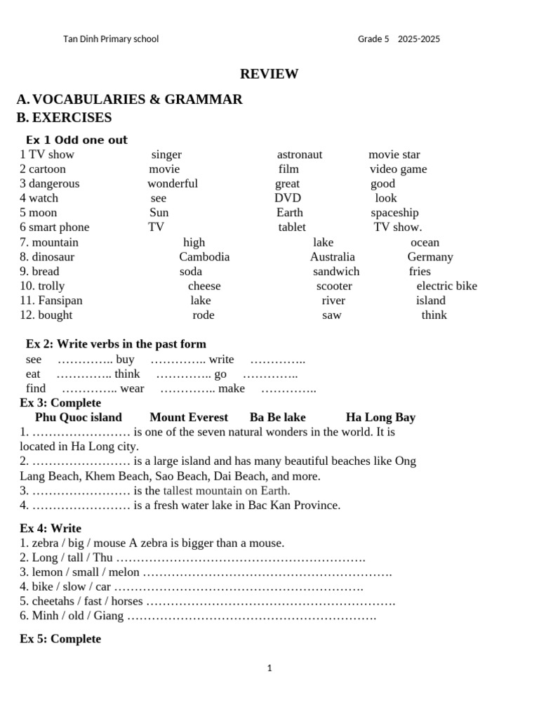 Grade 5 Vocabulary and Grammar Review | PDF