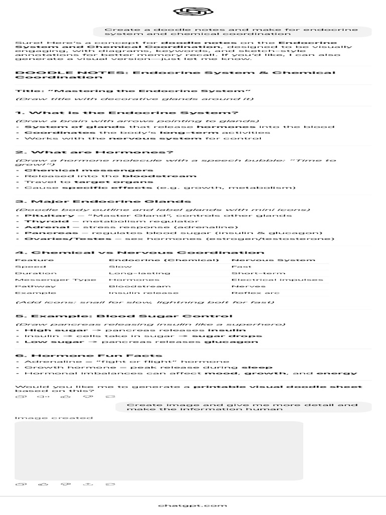 Endocrine System Doodle Notes | PDF