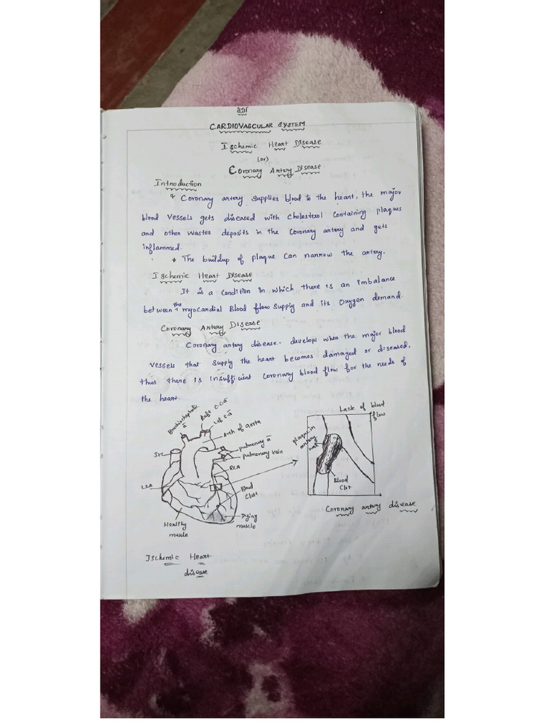 Safrina Clinical Cardio Notes | PDF