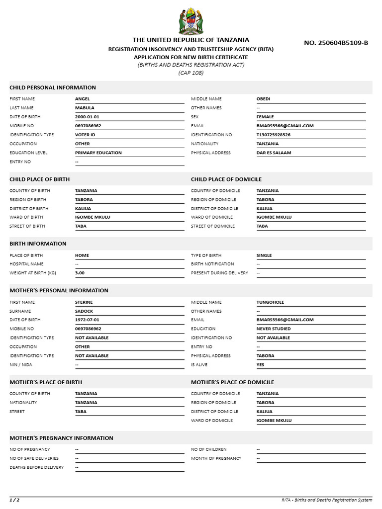 Application Form 20250604B - 2819 | PDF | Tanzania | Government And ...