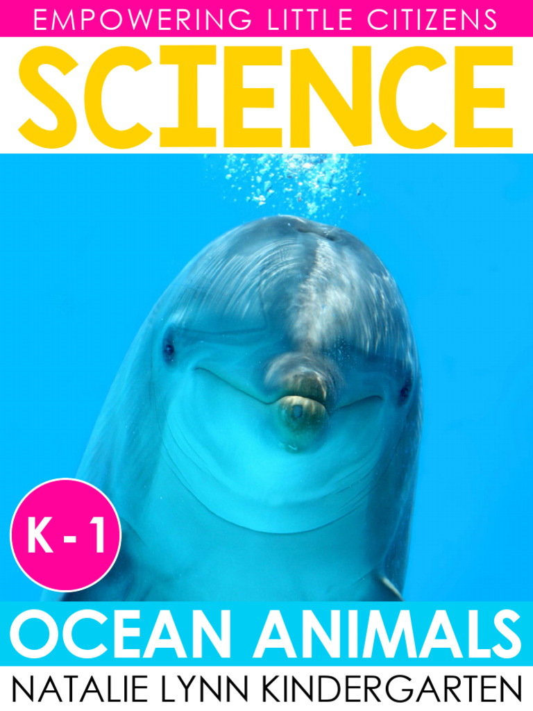 ELC Science Ocean Animals Unit | PDF | Water | Sea Turtle