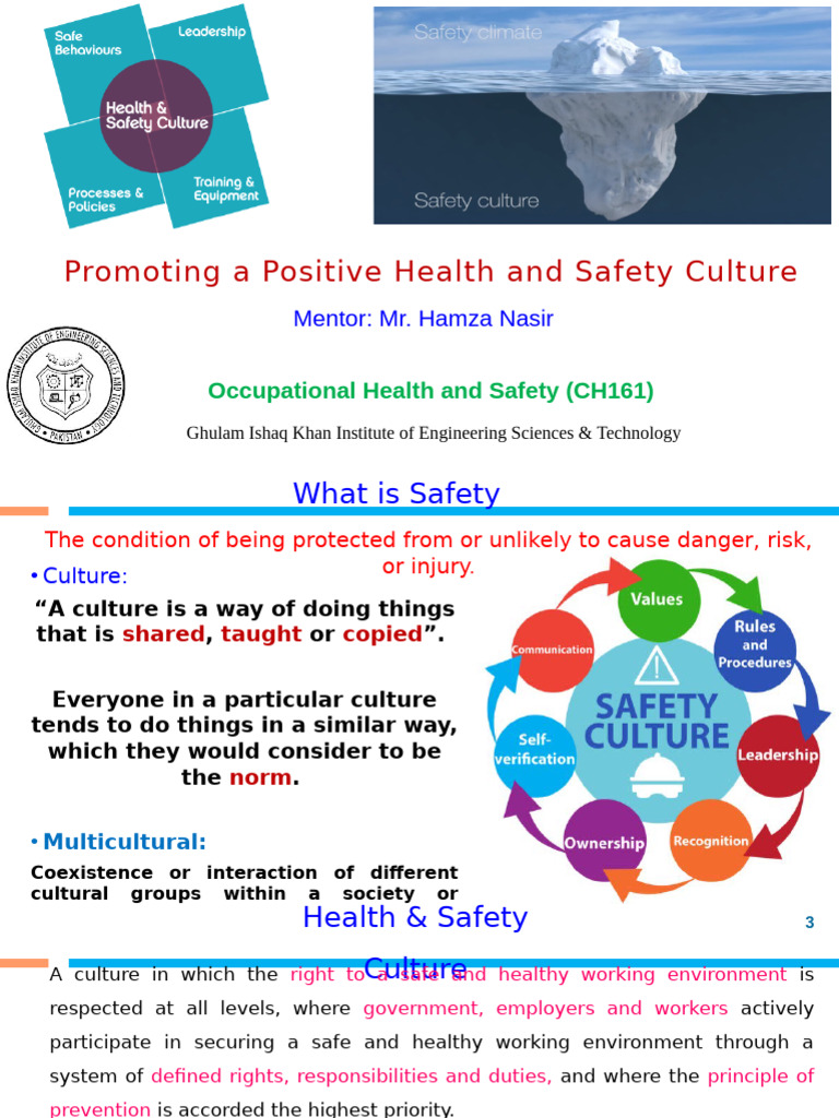 Promoting A Positive Health and Safety Culture | PDF | Occupational ...