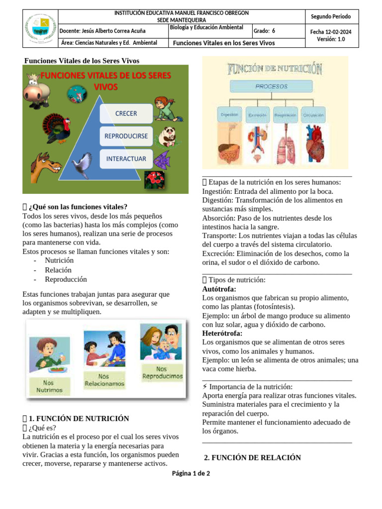 Funciones Vitales | PDF | Organismos | Nutrición