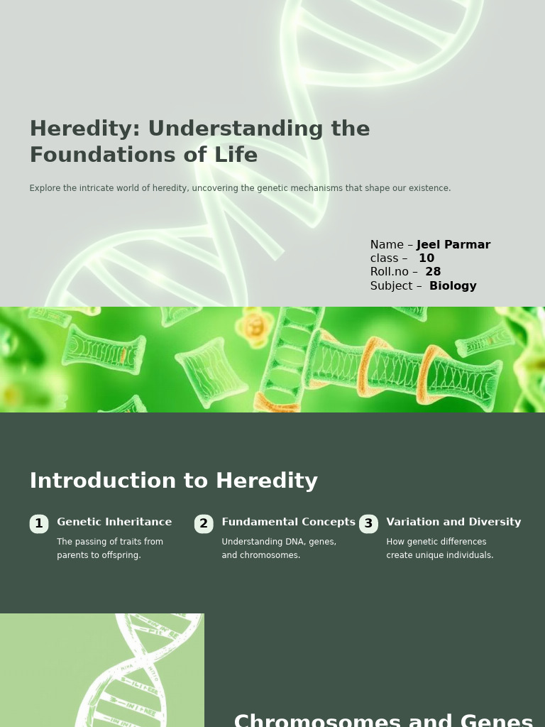Heredity: Key Concepts in Genetics | PDF | Genetics | Dominance (Genetics)
