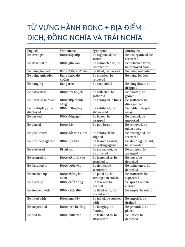 Flashcards TongHop | PDF