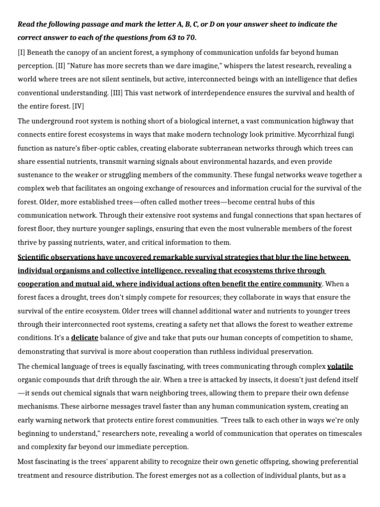 ĐỀ HSG 2025 | PDF | Communication | Trees