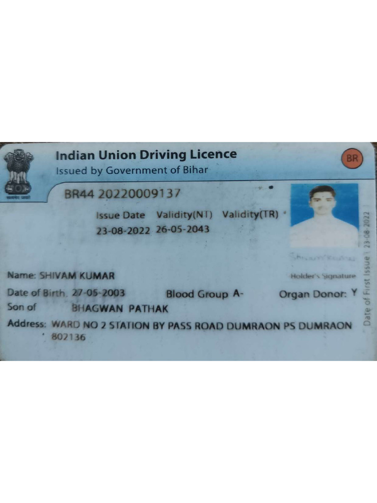 Driving Licence | PDF