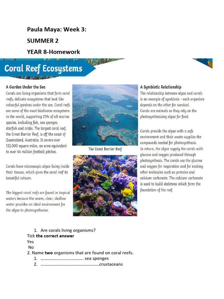 Week 3 Year 8 Homework | PDF