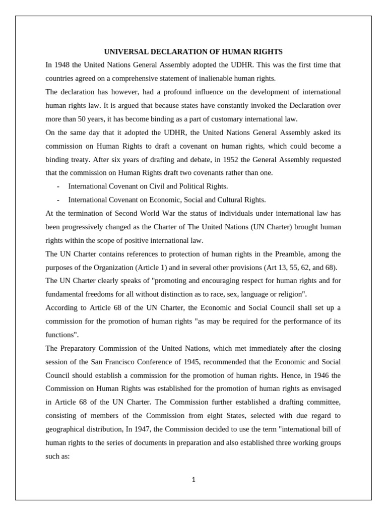 Overview of the Universal Declaration of Human Rights | PDF | Human ...