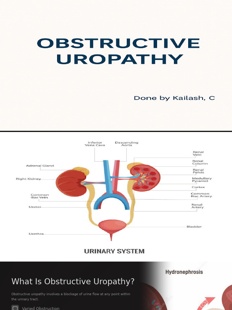 Urinary Tract Obstruction Obstructive Uropathy | PDF | Kidney | Medical ...