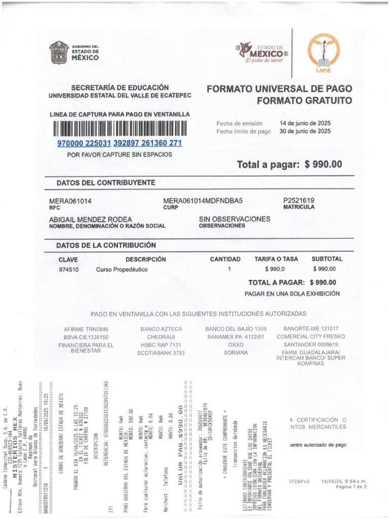 Formato Pago | PDF