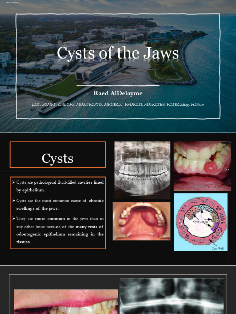 Lec 4 OM | PDF | Epithelium