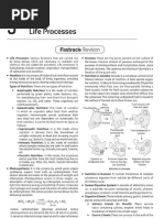 Life Processes Class 10th | PDF