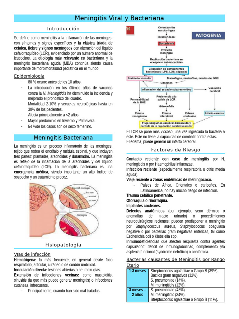 Fisiopatología de Meningitis Viral y Bacteriana | PDF | Meningitis ...