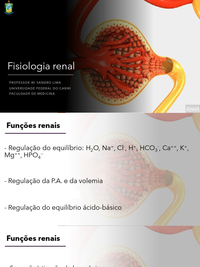 Filtrao Glomerular 241112 091306 | PDF | Rim | Anatomia