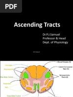 Ascending and Descending Tracts | PDF | Spinal Cord | Central Nervous System