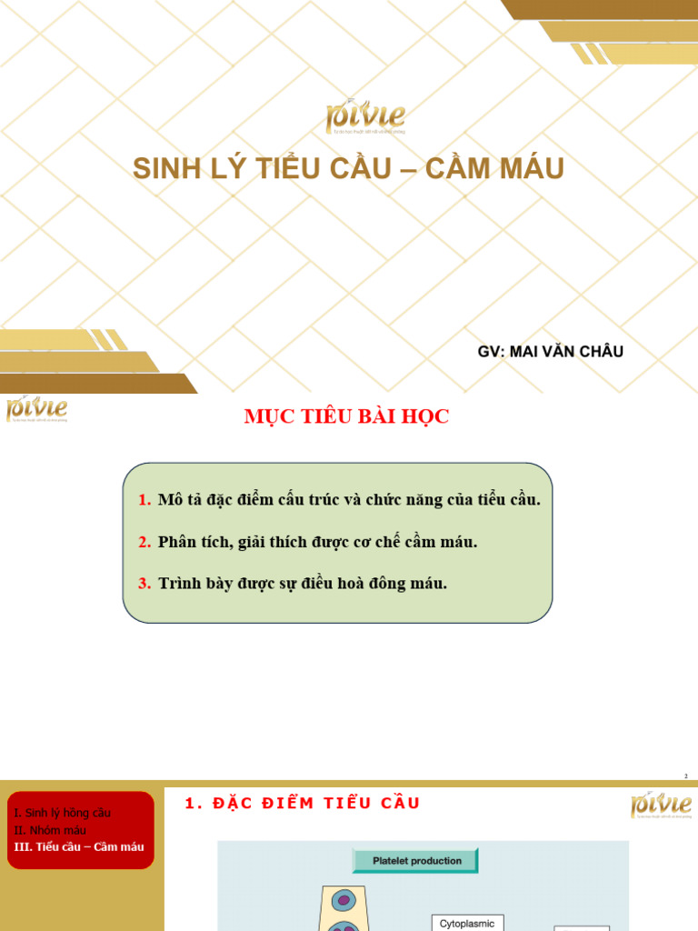 Tieu-Cau-Cam-Mau-2 - 1812 | PDF