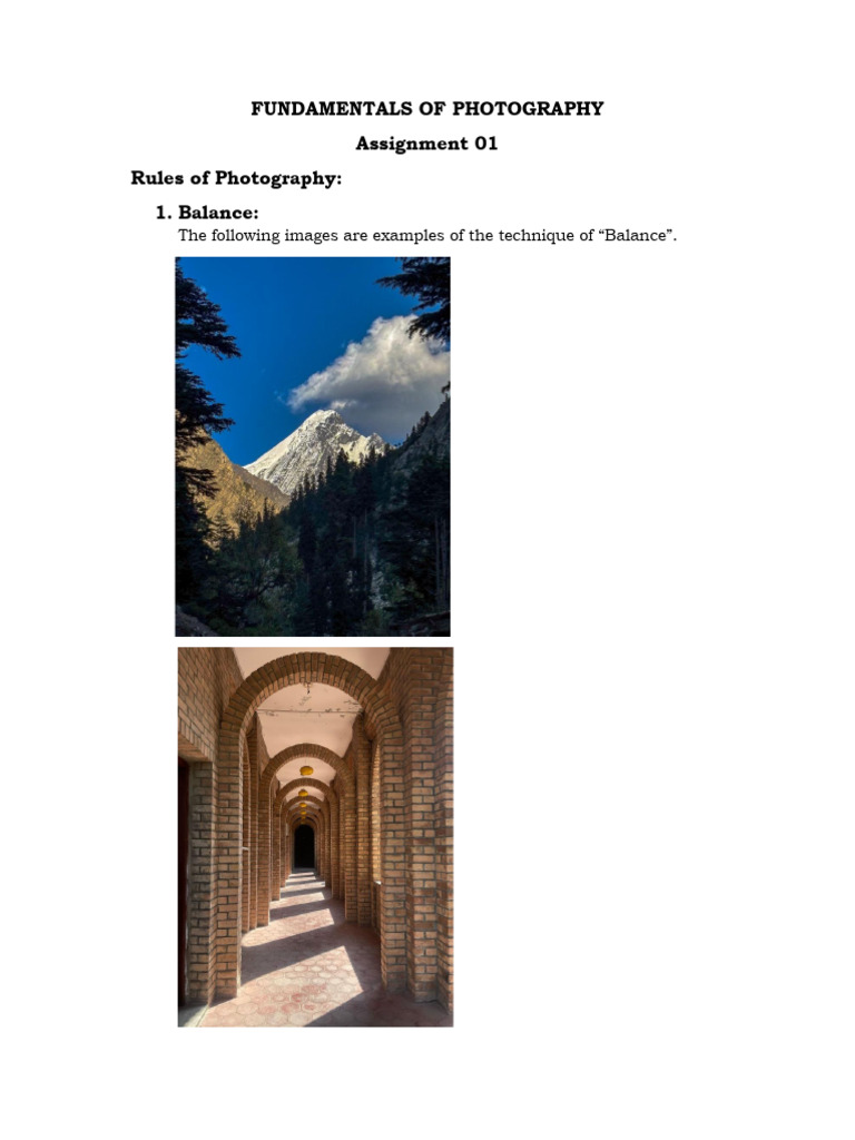 Photography Techniques: Balance & Framing | PDF