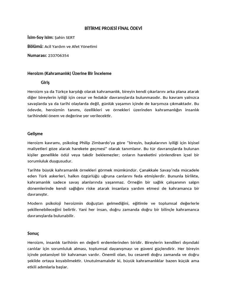 Bitirme Projesi F | PDF