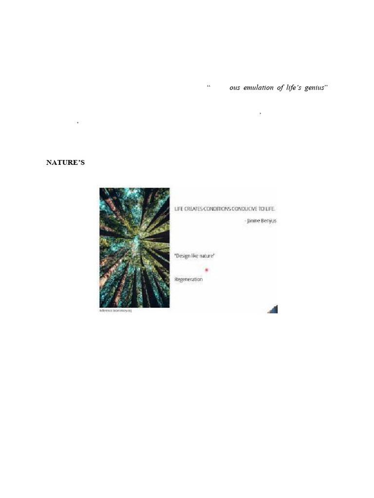 Unit 3 - Biomimicry Design Process | PDF | Chemical Elements | Feedback